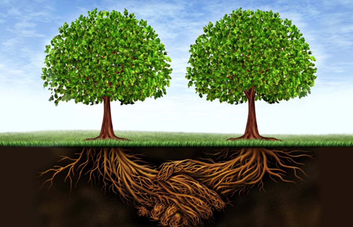 Reflections on Leading Racial Equity Work in Collective Impact - Living ...